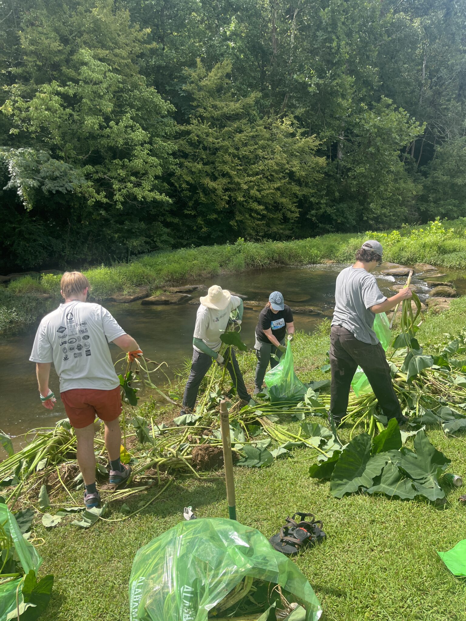 Protecting the Places We Paddle: The Cahaba Blueway Cleanup Series ...